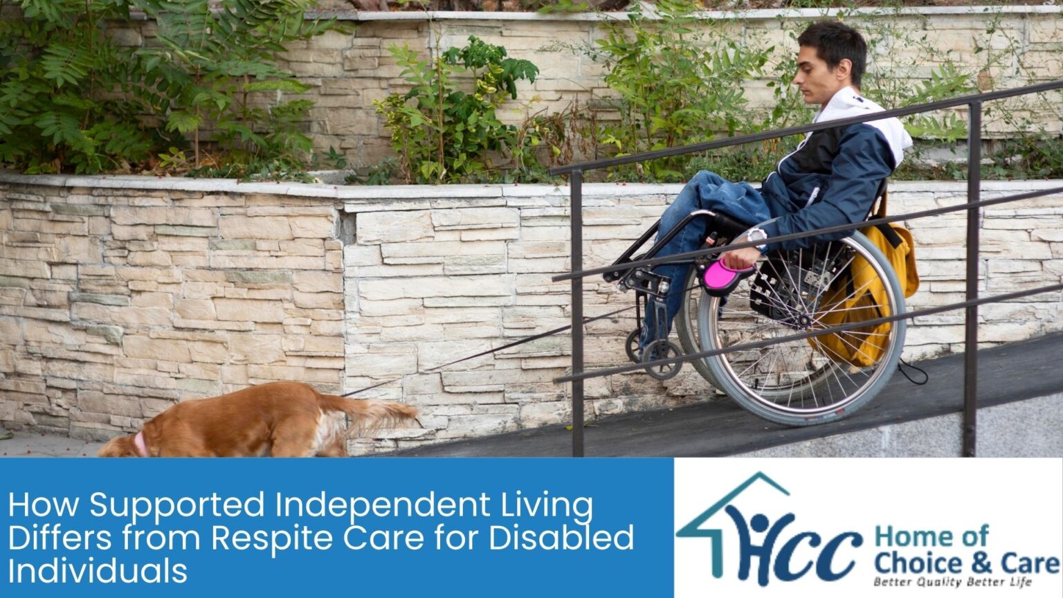 NDIS Behaviour Support Practitioner: Functions and Responsibilities